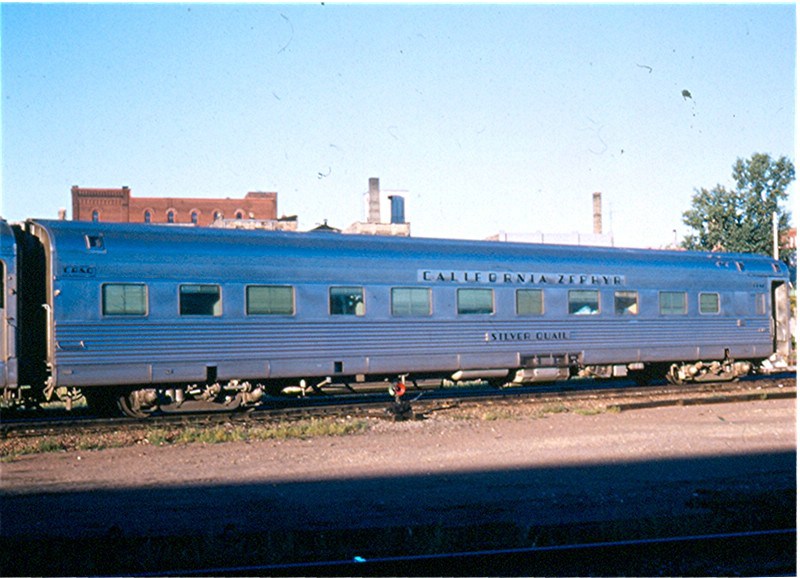 CBQ 451 Silver Quail
